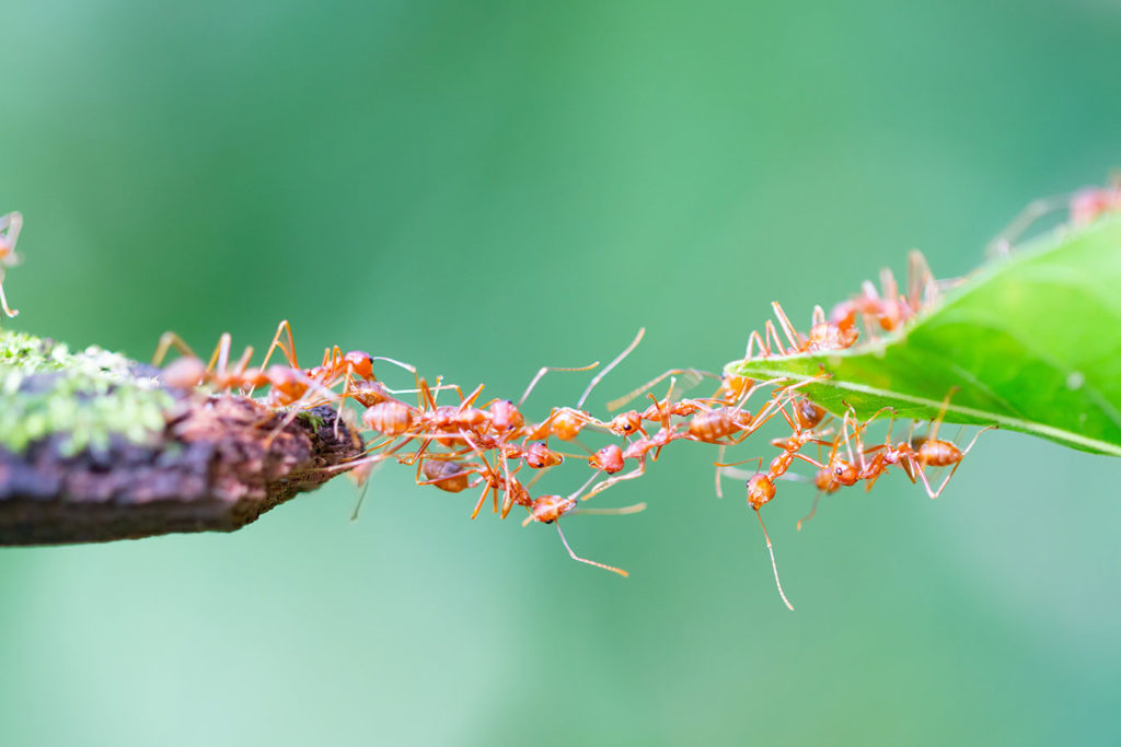 Workplace & Mobility Stream | Sword Technologies